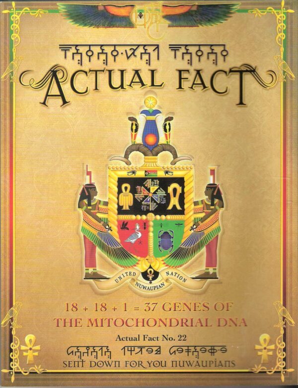 ACTUAL FACT 19 - Who Is God Female Or Male? - Nashat.co.uk