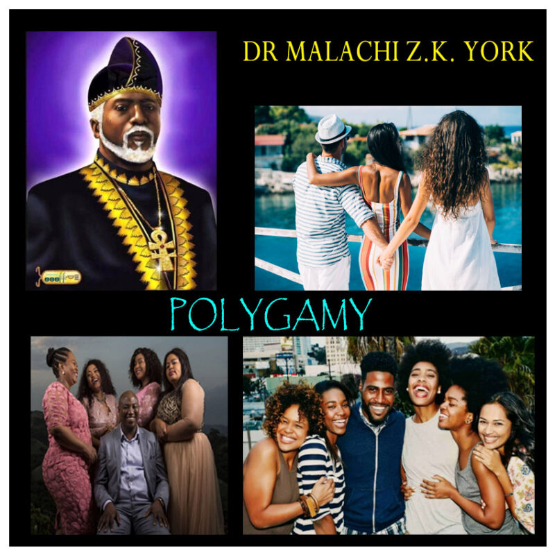 Dr Malachi Z York - Which Jesus Do You Warship? - Nashat.co.uk